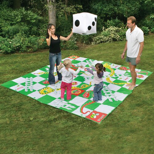 Giant Snakes And Ladders